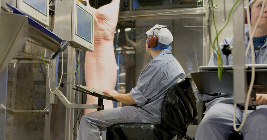 Betäuben und Stechen